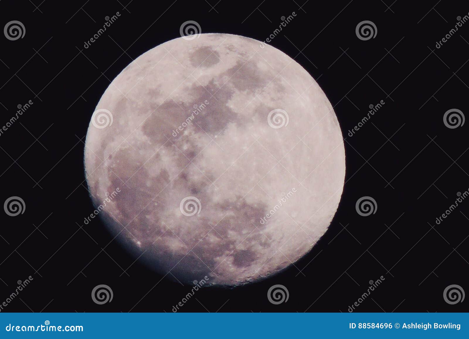 Bright moonlight. stock photo. Image of capture, bright - 88584696