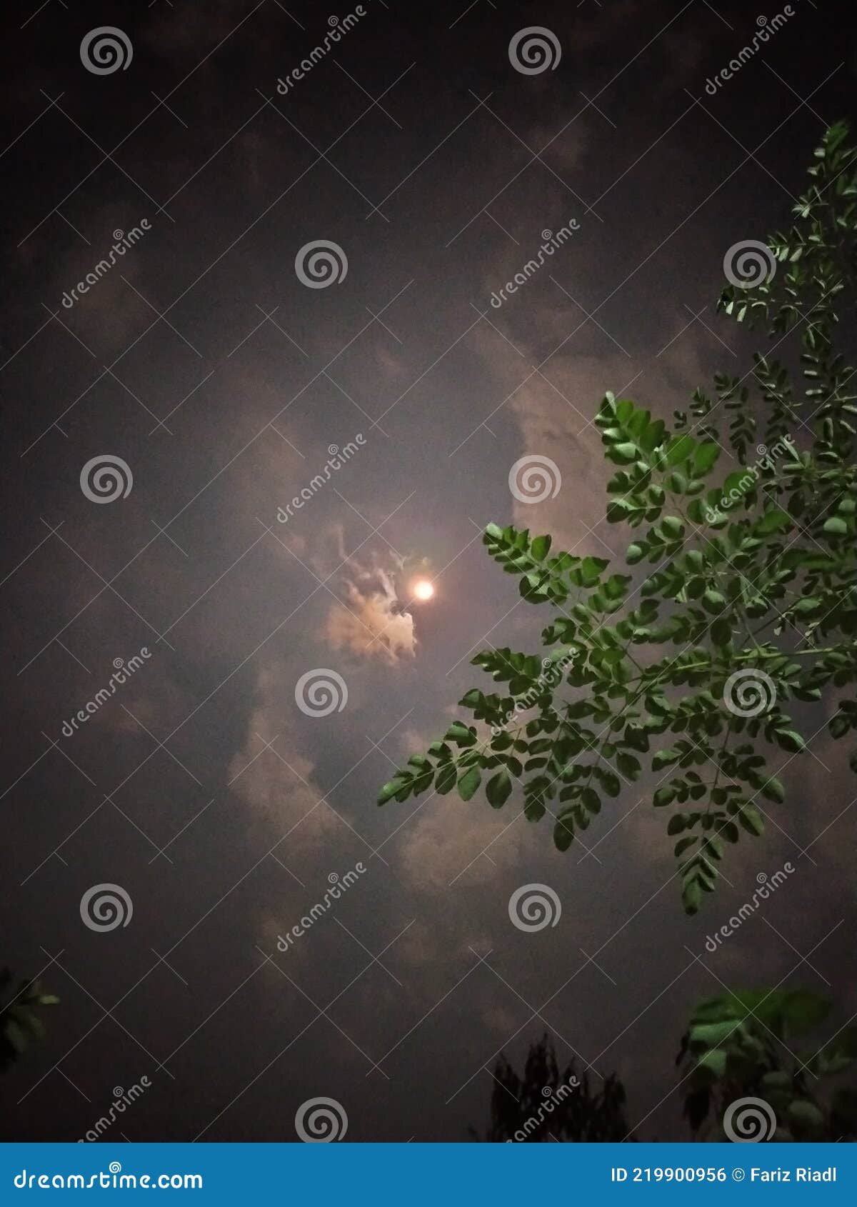 Bright Moonlight in the Cloudy Sky at Night Stock Photo - Image of ...