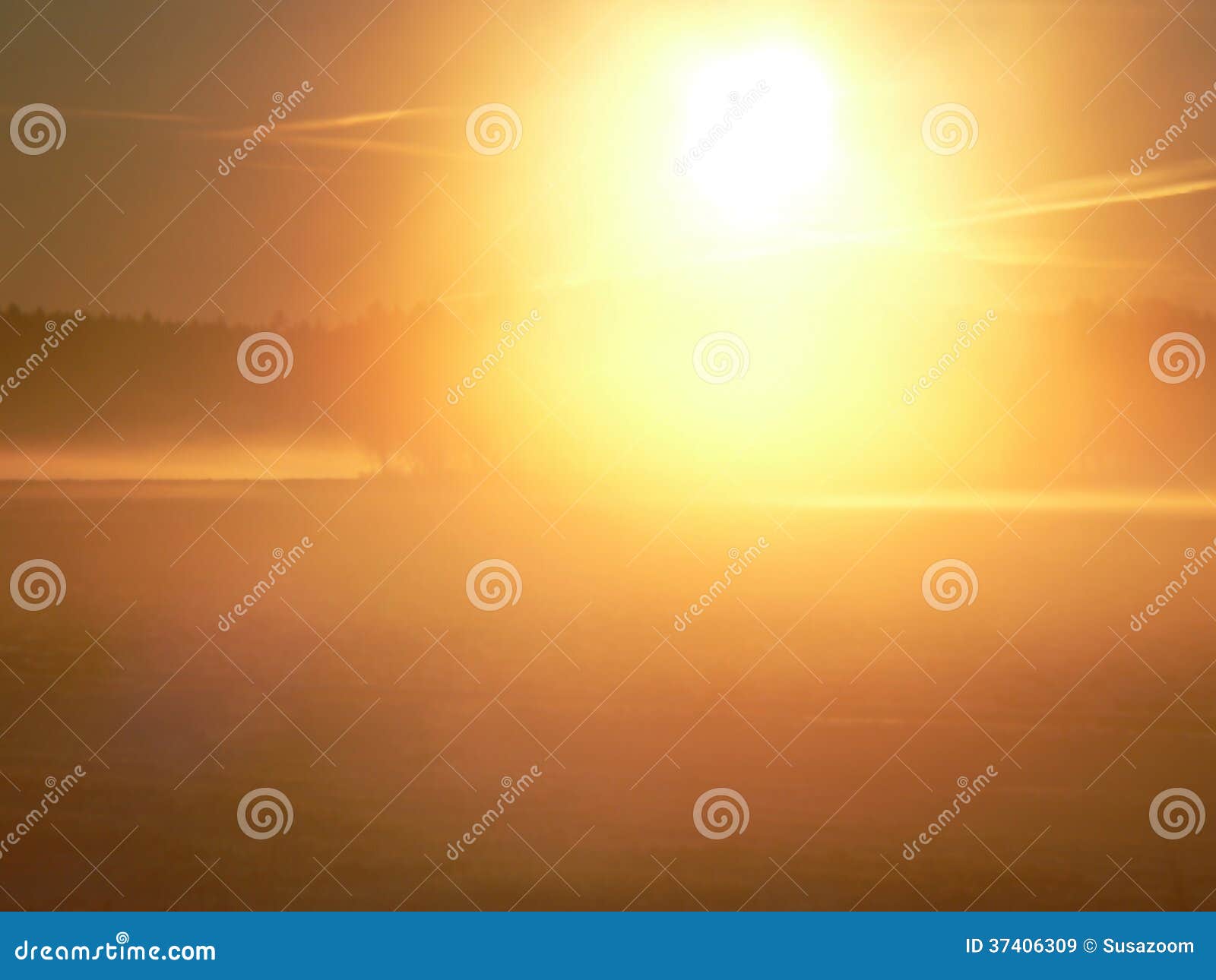 Bright Morning Sun on the Fields Stock Image - Image of environment ...