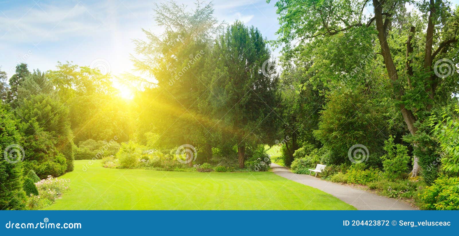 Bright Morning Sun Illuminates Garden with Meadow Stock Photo - Image ...