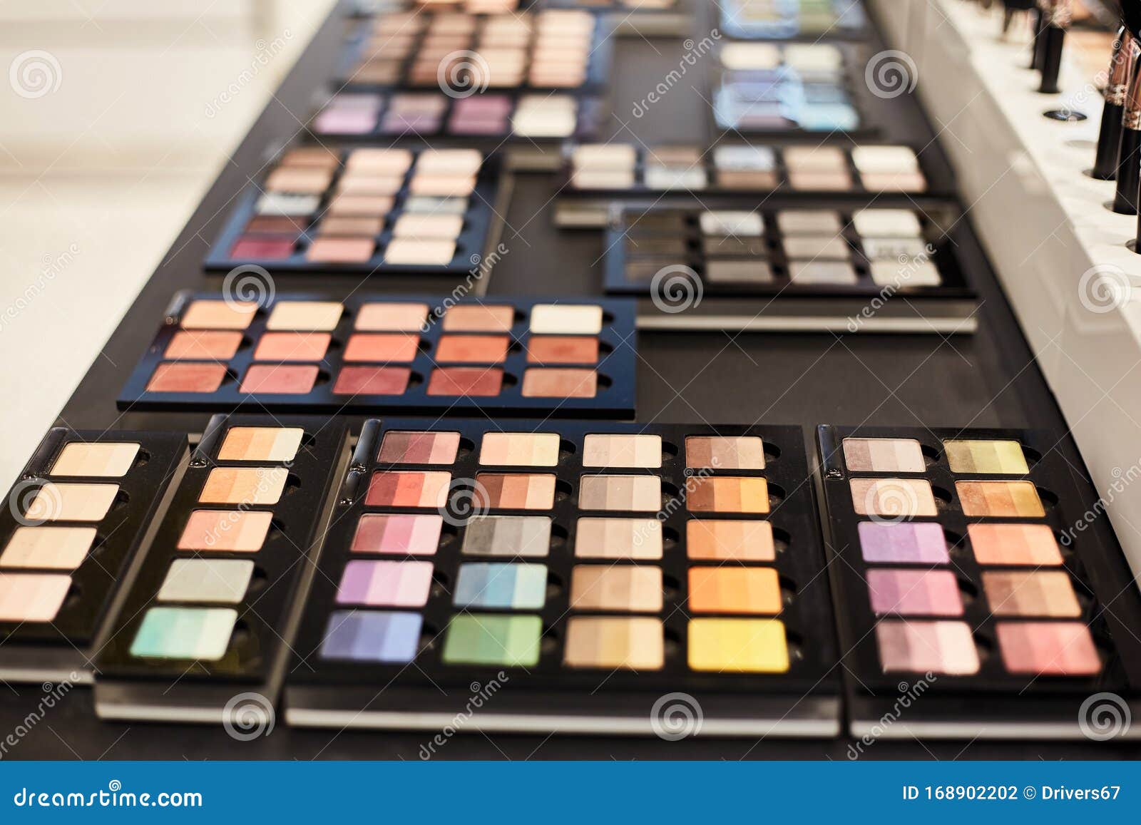 Bright Multi-colored Eye Shadow. Professional Makeup for Make-up ...