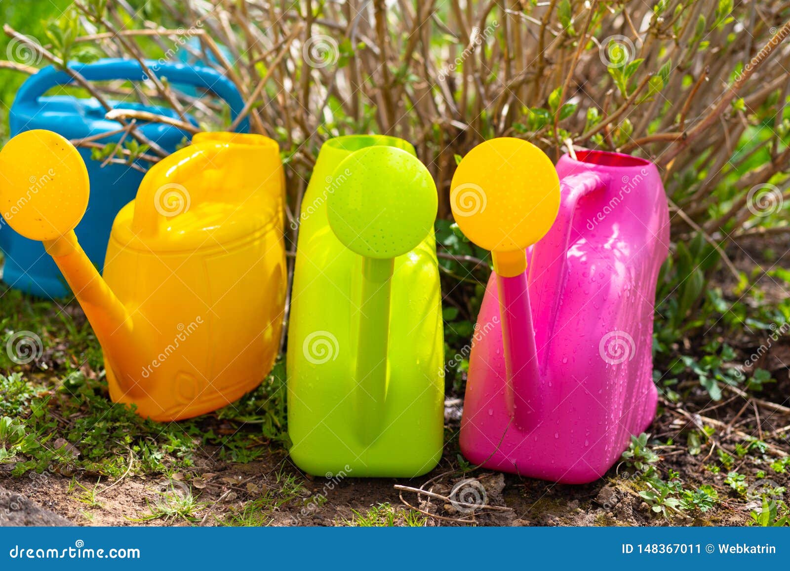 Bright Multi-colored Plastic Watering Cans in the Spring Garden. Stock ...