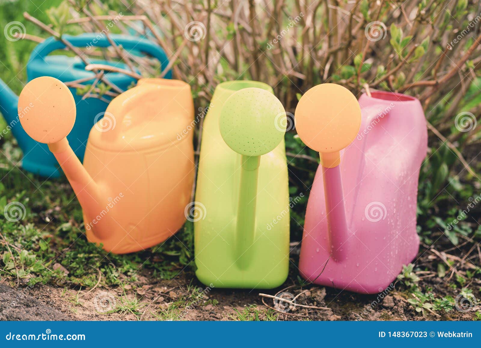 Bright Multi-colored Plastic Watering Cans in the Spring Garden. Stock ...