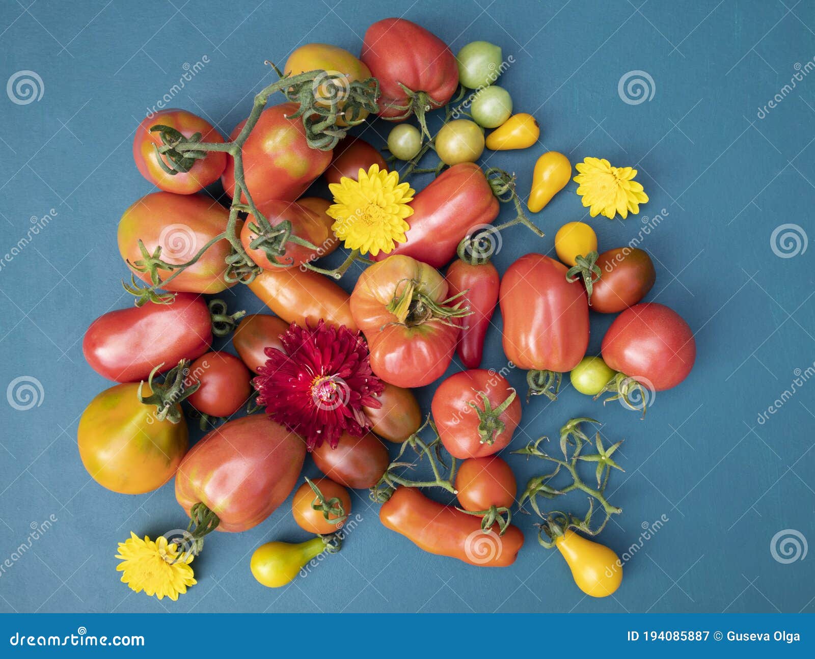 Bright Multi-colored Tomatoes of Different Sizes on a Green Background ...