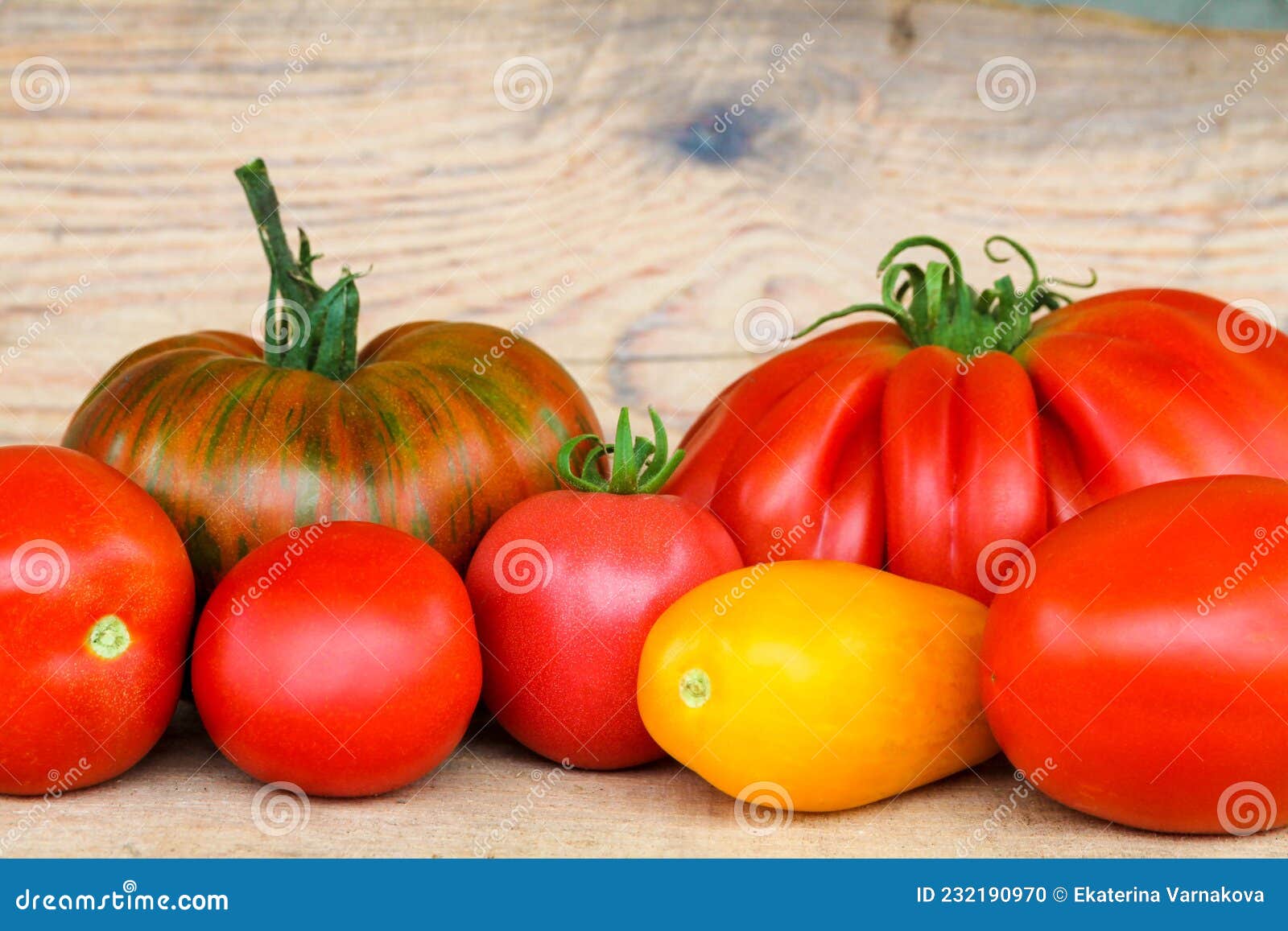 Bright Multi-colored Tomatoes of Different Sizes. Red, Yellow ...