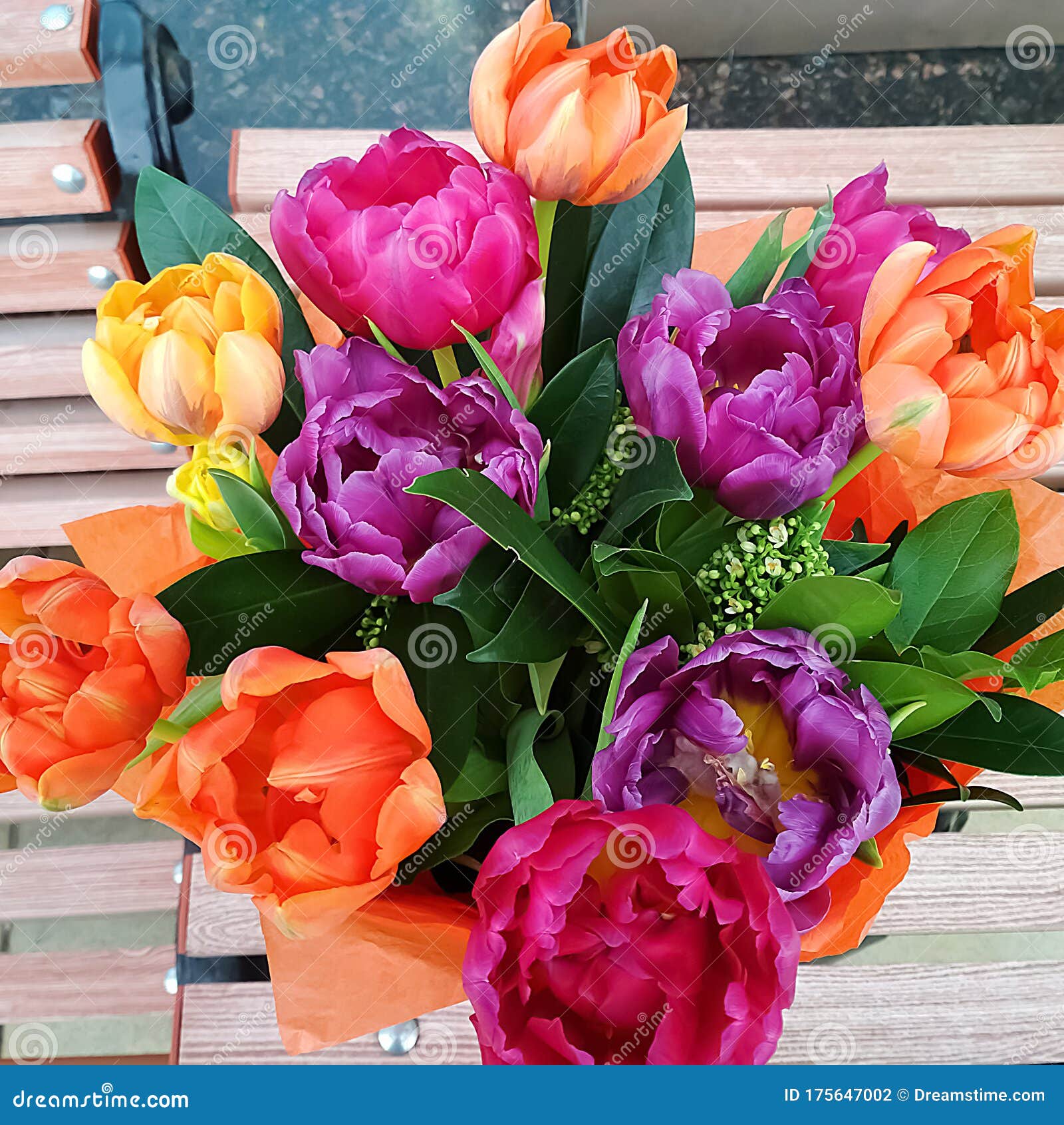 Bright Multi-colored Tulips Close-up. Spring Concept Stock Photo ...