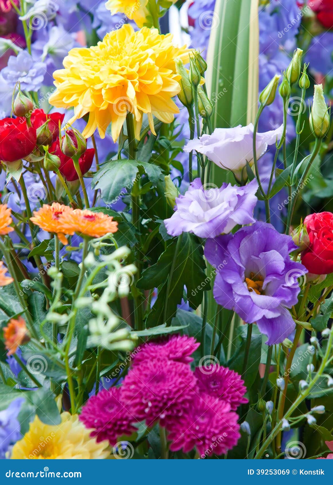 Bright Multicolor Bouquet of Different Flowers Stock Image - Image of ...