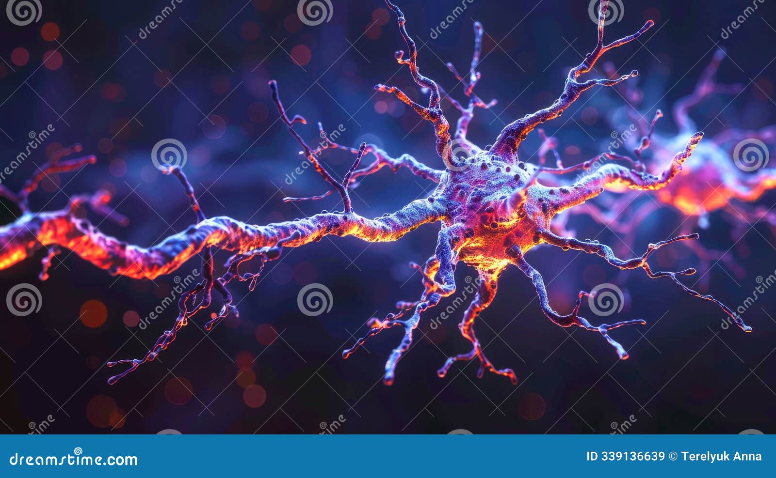 Bright Neuron Structure Under Microscope. Stock Image - Image of ...