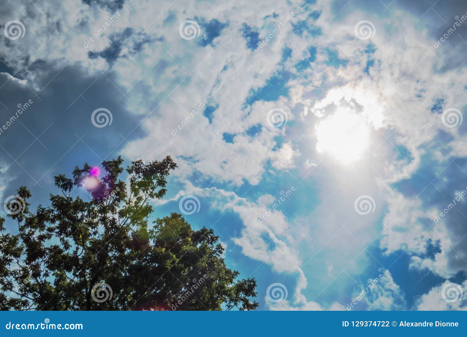 Bright Noon Sun, Clouds, and Treetop Stock Photo - Image of clouds ...