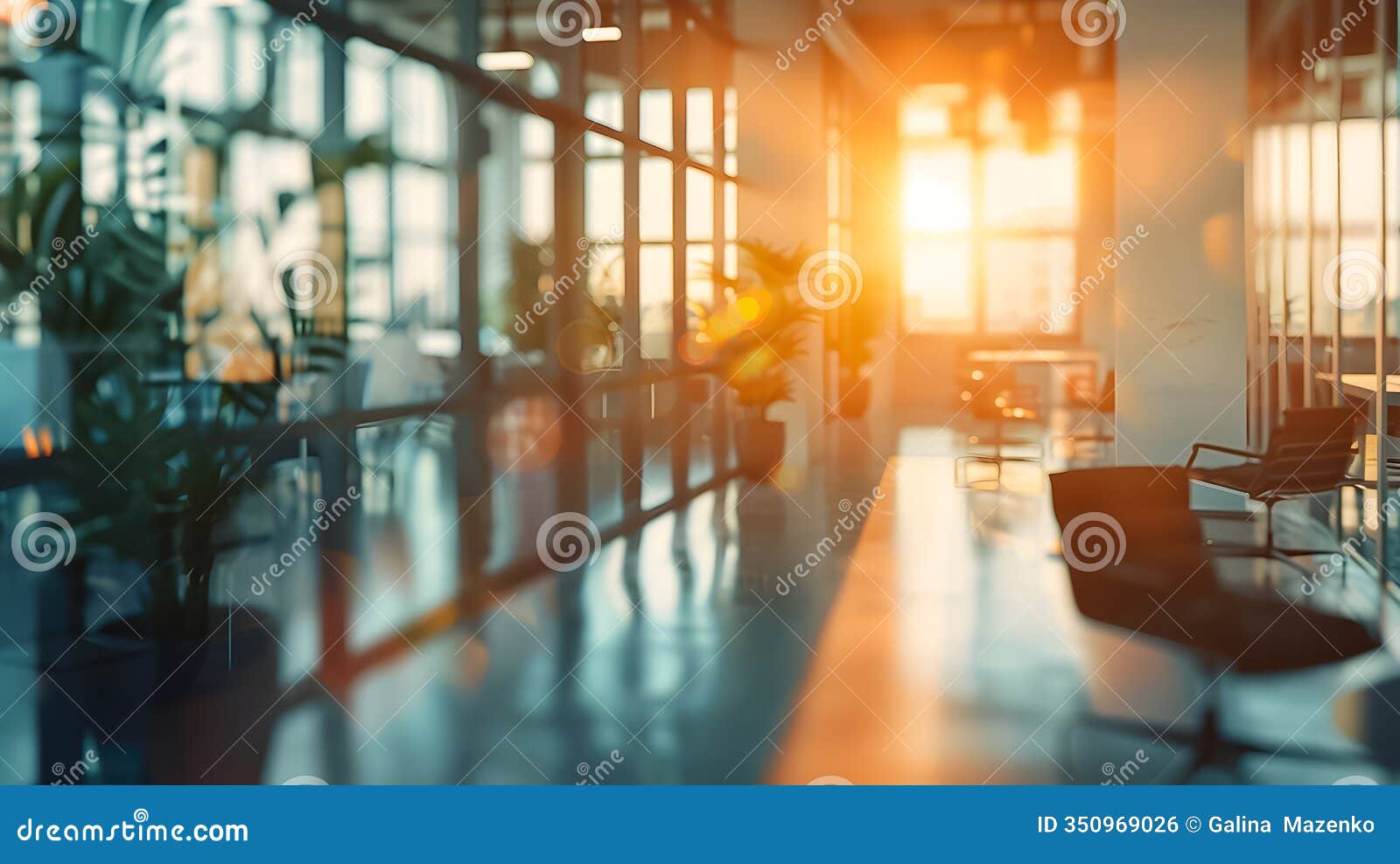Bright Office Hallway with Sunlight Streaming through Glass Windows ...