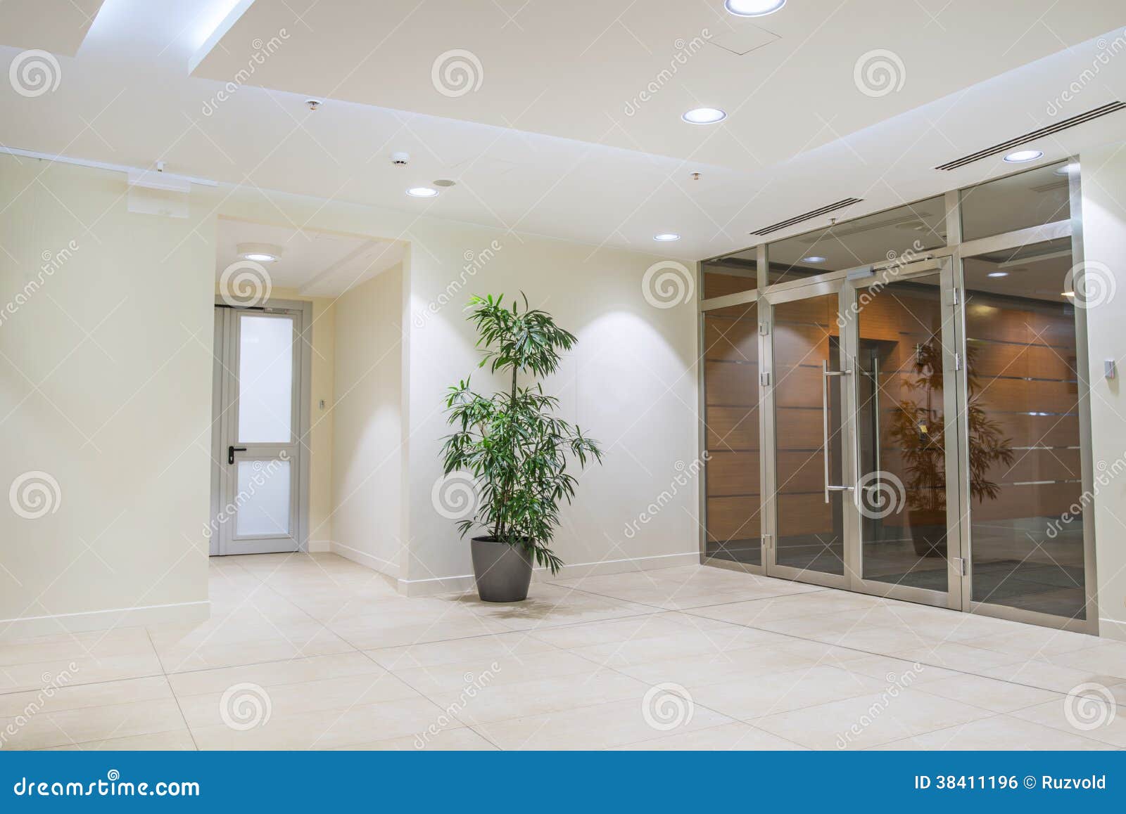 Bright office interior stock photo. Image of plant, dorm - 38411196
