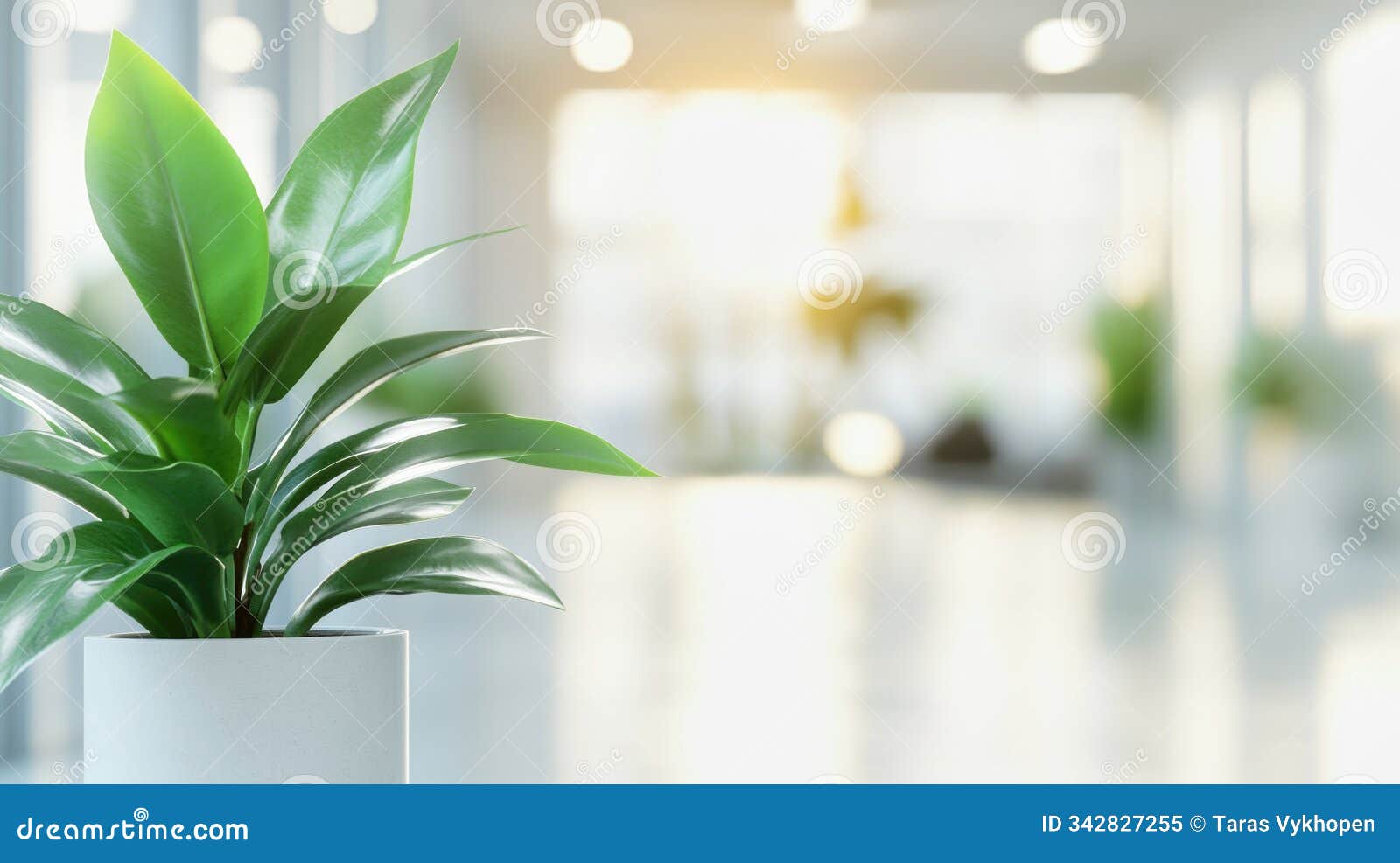 Bright Office Space with a Modern Environment Blurred during a Video ...