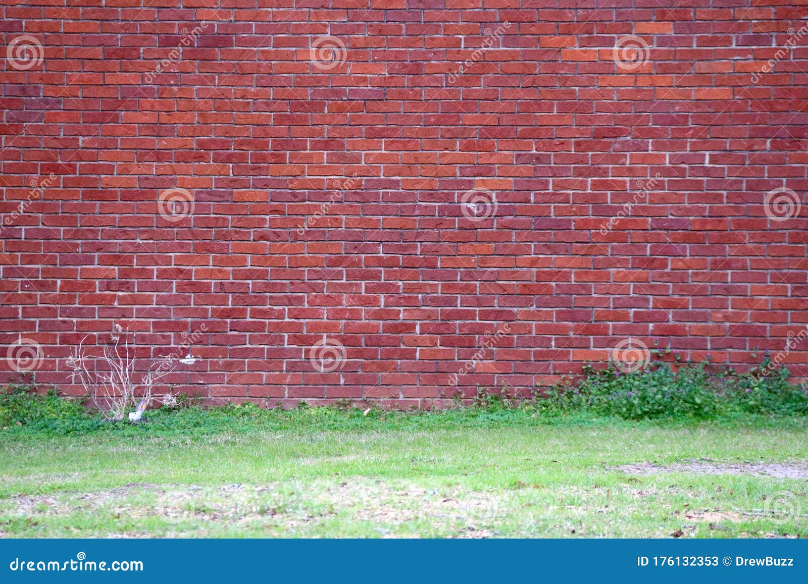 Bright Old Red Brick Garden Path Wall Grass Stock Image - Image of ...