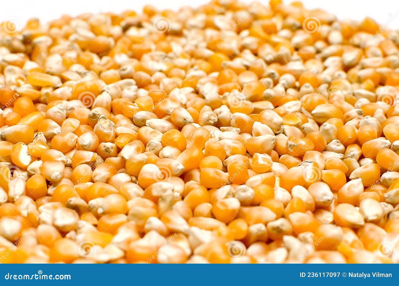 The Bright Orange Corn Kernels are Simply Stunning Stock Image - Image ...