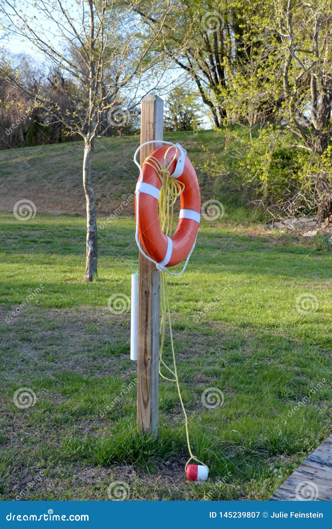 Life Saver Float stock image. Image of cord, float, life - 145239807