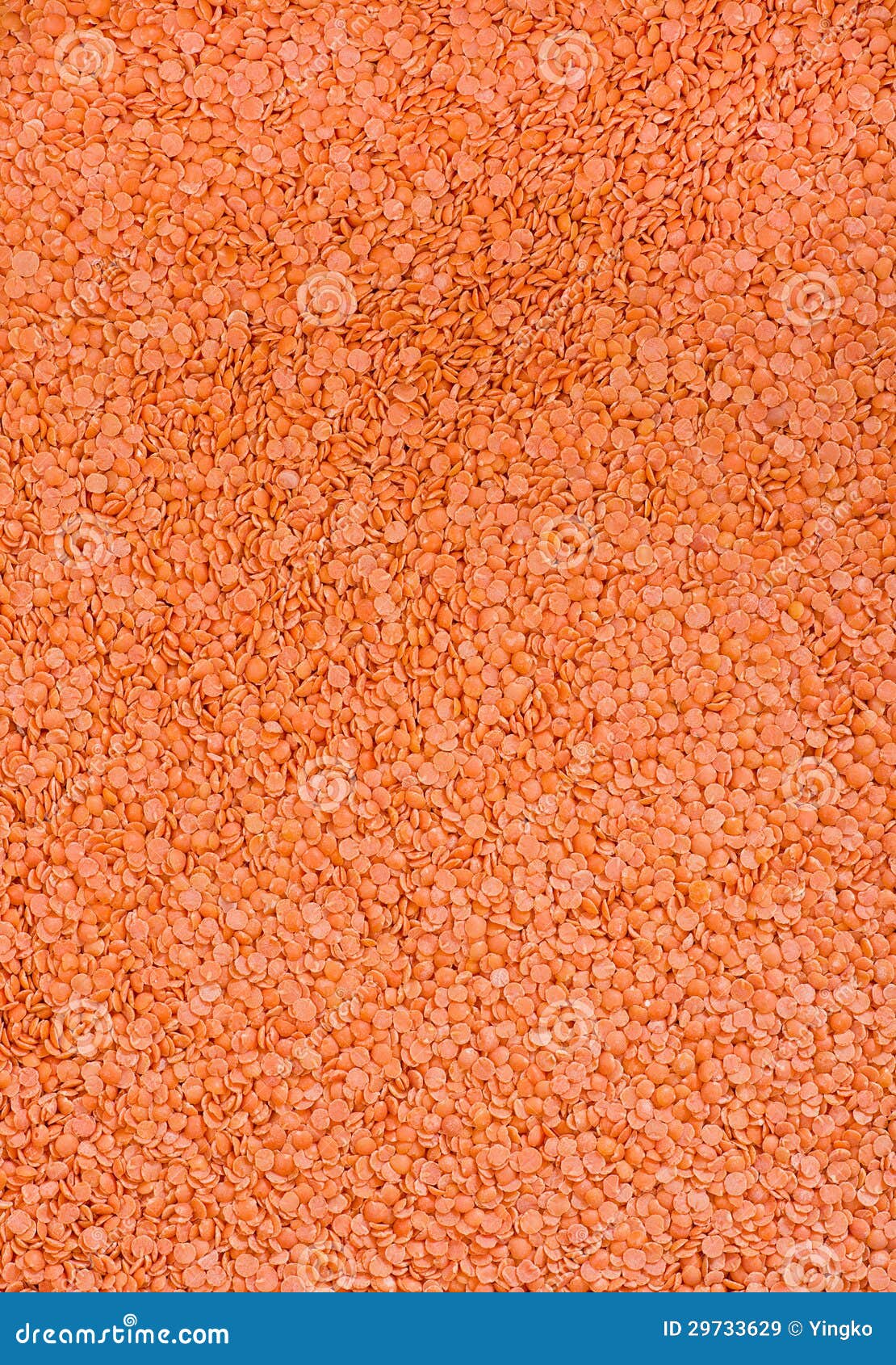 Orange lentil background stock image. Image of food, nature - 29733629
