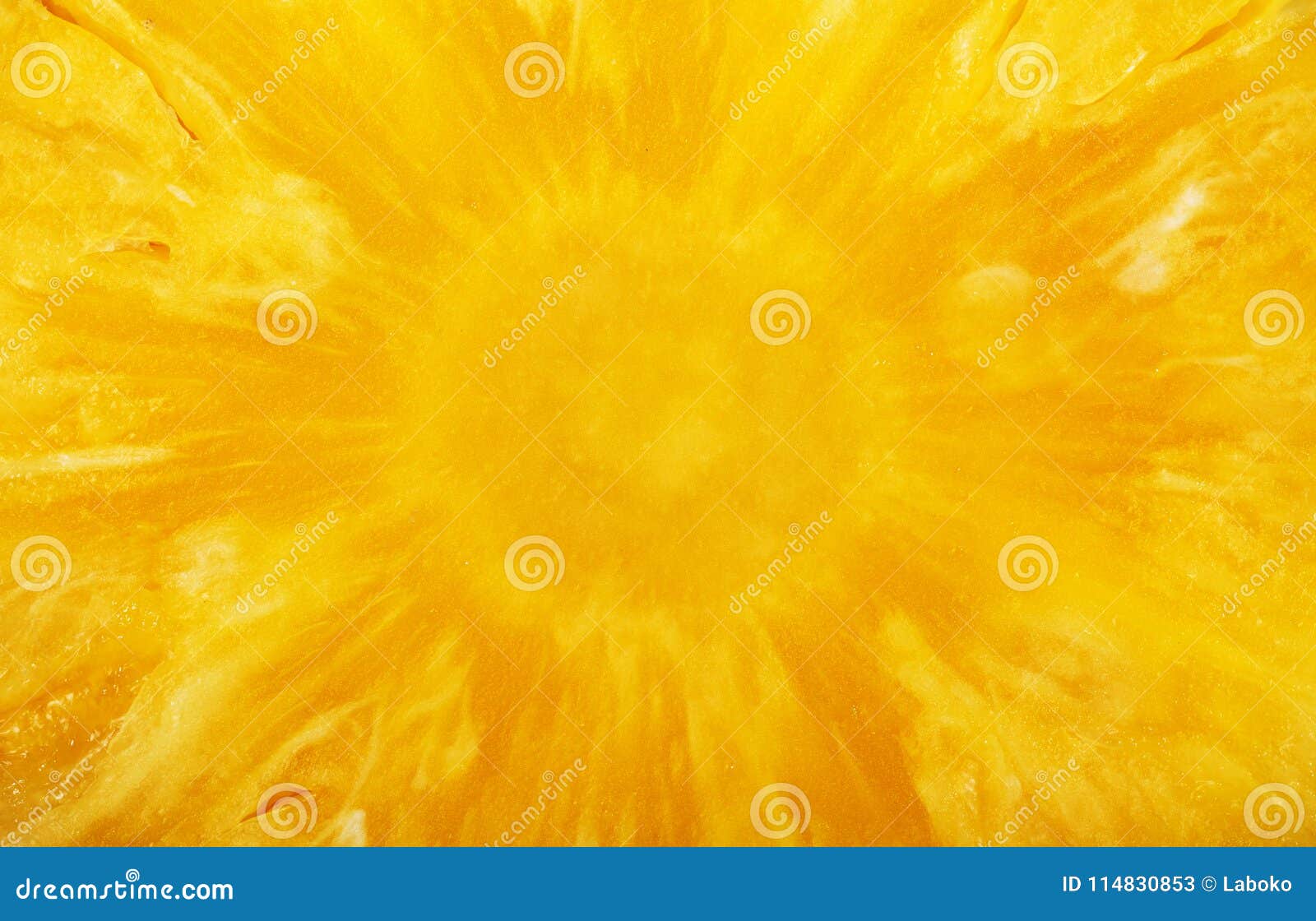 Bright Orange Longitudinal Section of Fruit of Persimmon Stock Image ...