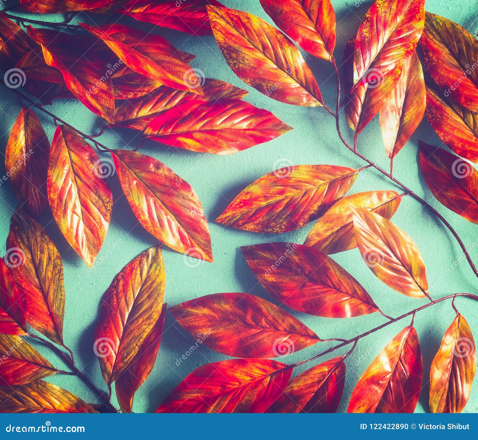 Bright Orange Red Autumn Leaves Background on Sunny Turquoise . Fall ...