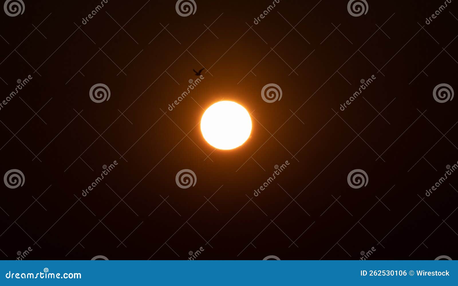 Bright Orange Sun in the Sky during Sunset Stock Photo - Image of light ...