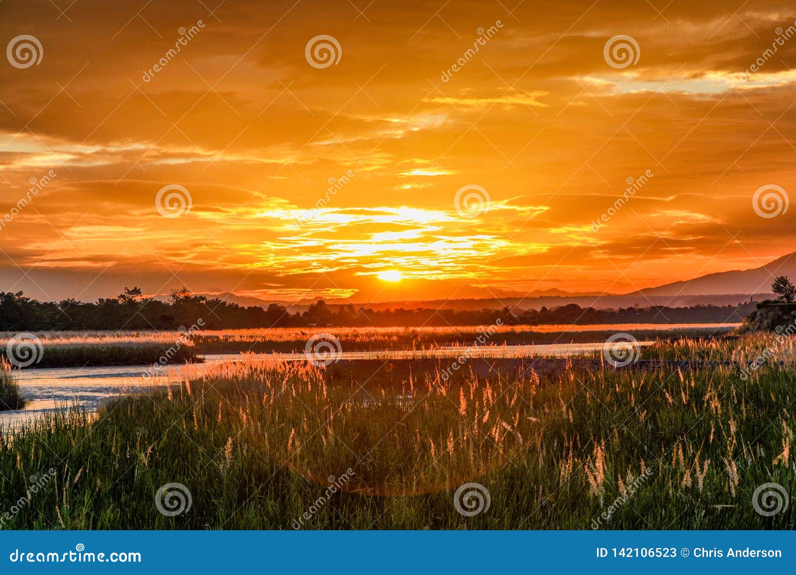 Orange Sunset with Lens Flare, Thick Tall Grass and a Flat Lazy River ...