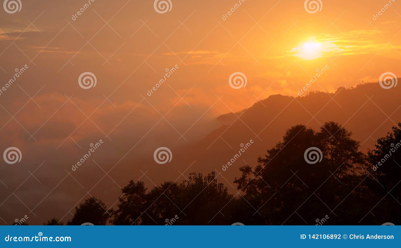 Bright Orange Sunset Low Clouds and a Silhouette of Trees in the Lower ...