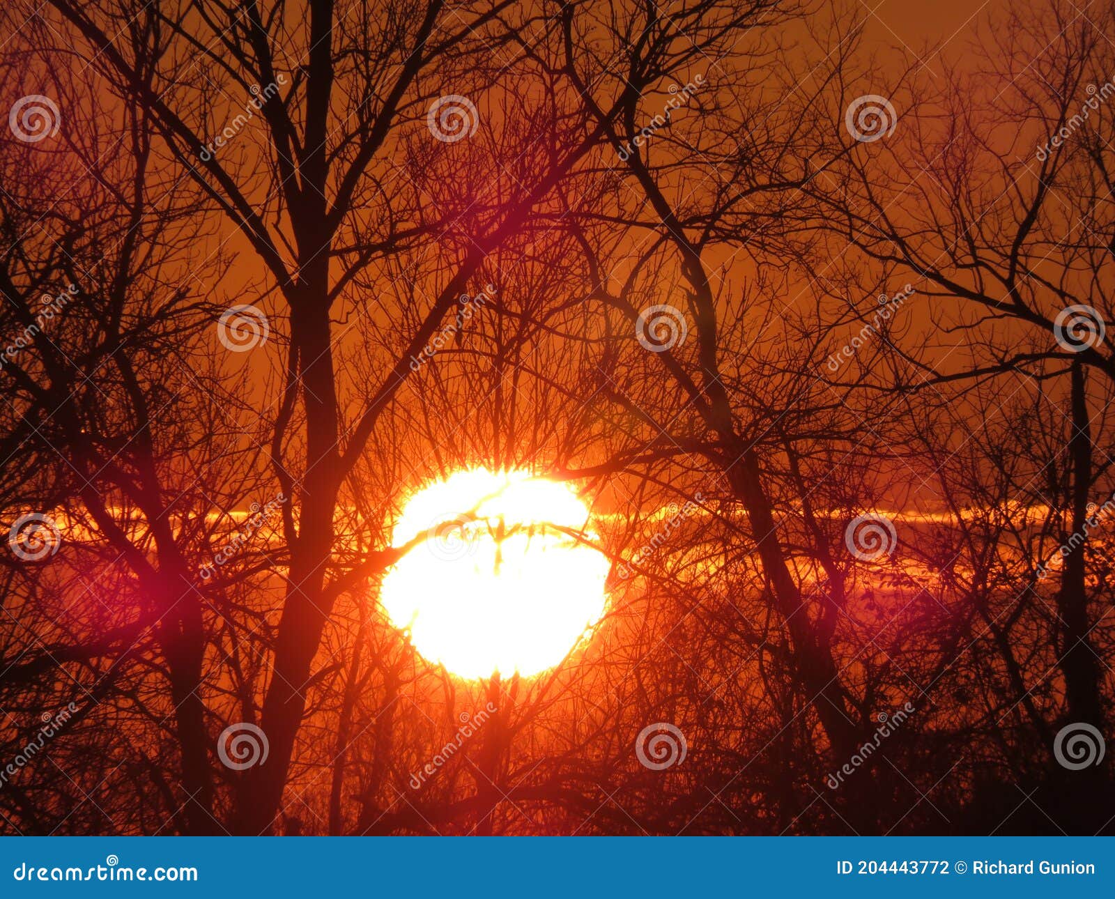 Bright Orange Sunset and Trees in December Stock Photo - Image of ...
