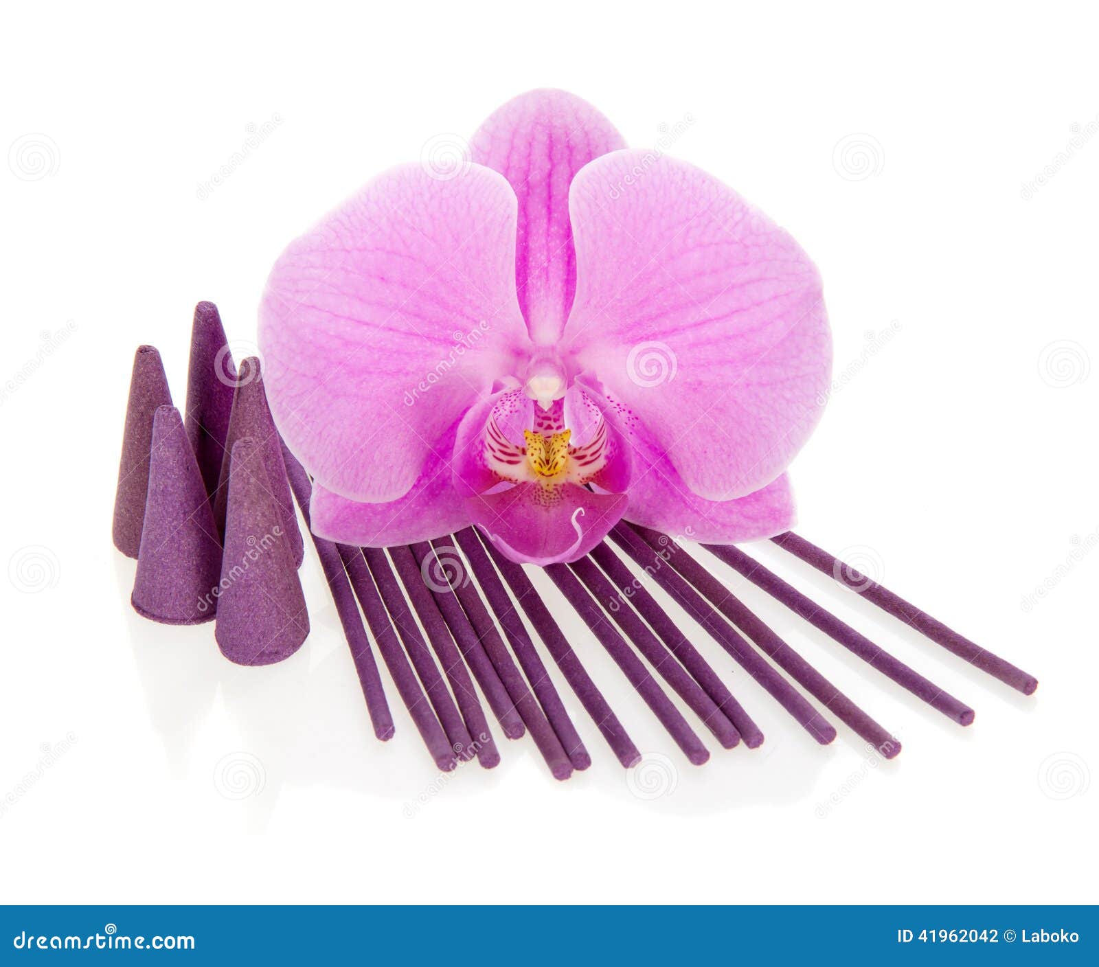 Bright Orchid, Aromatic Sticks and the Cones Stock Photo - Image of ...
