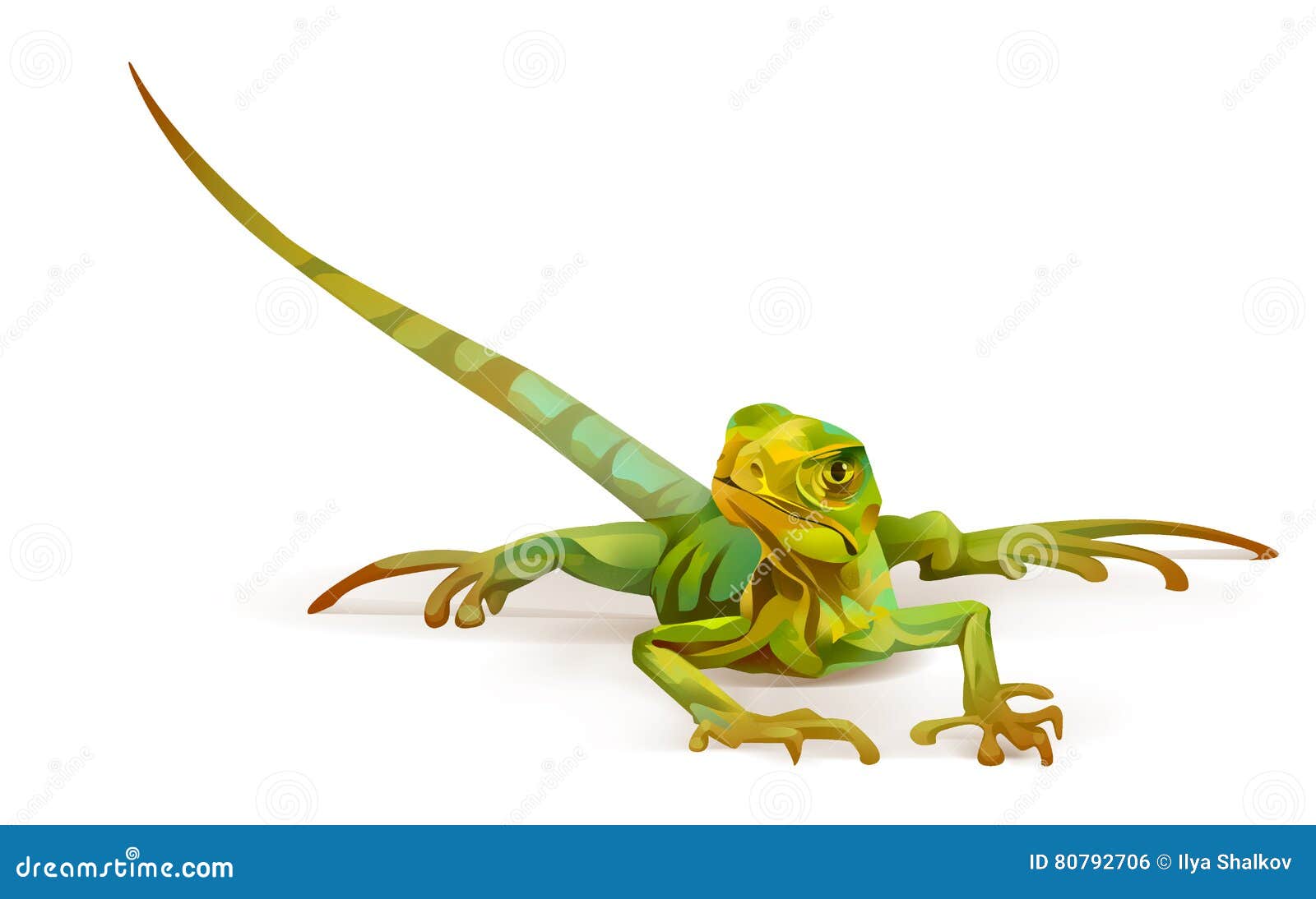 Lizard Cartoons Cartoons, Illustrations & Vector Stock Images - 127073 ...