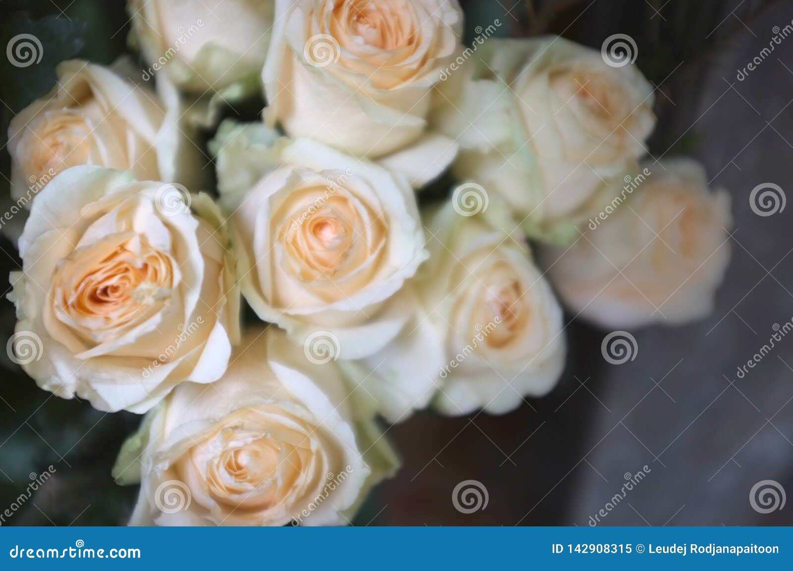 Bright Pink Roses Background Stock Image - Image of bouquet, love ...