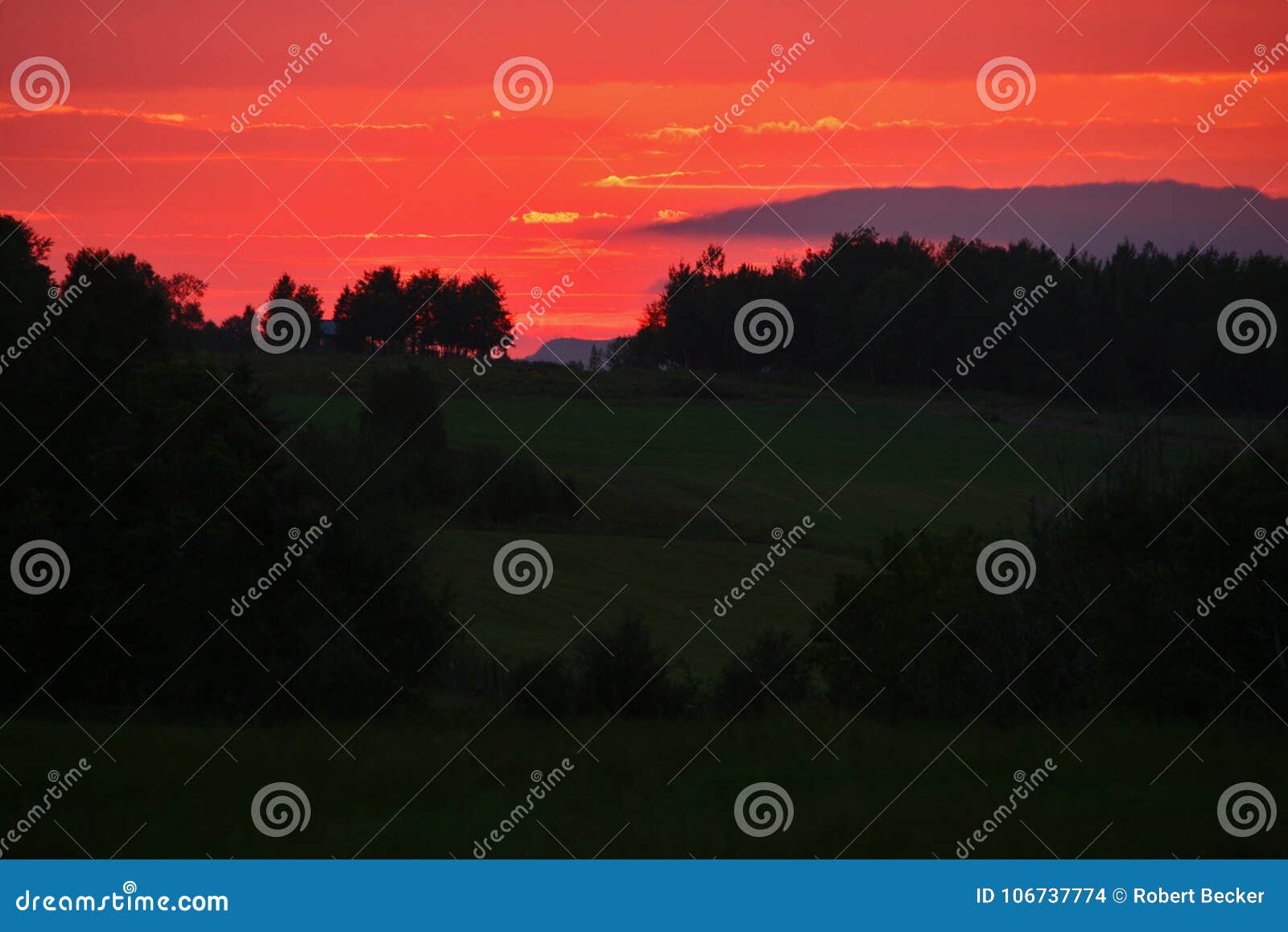 Bright Pink Sunset in Canada Stock Photo - Image of fields, summer ...