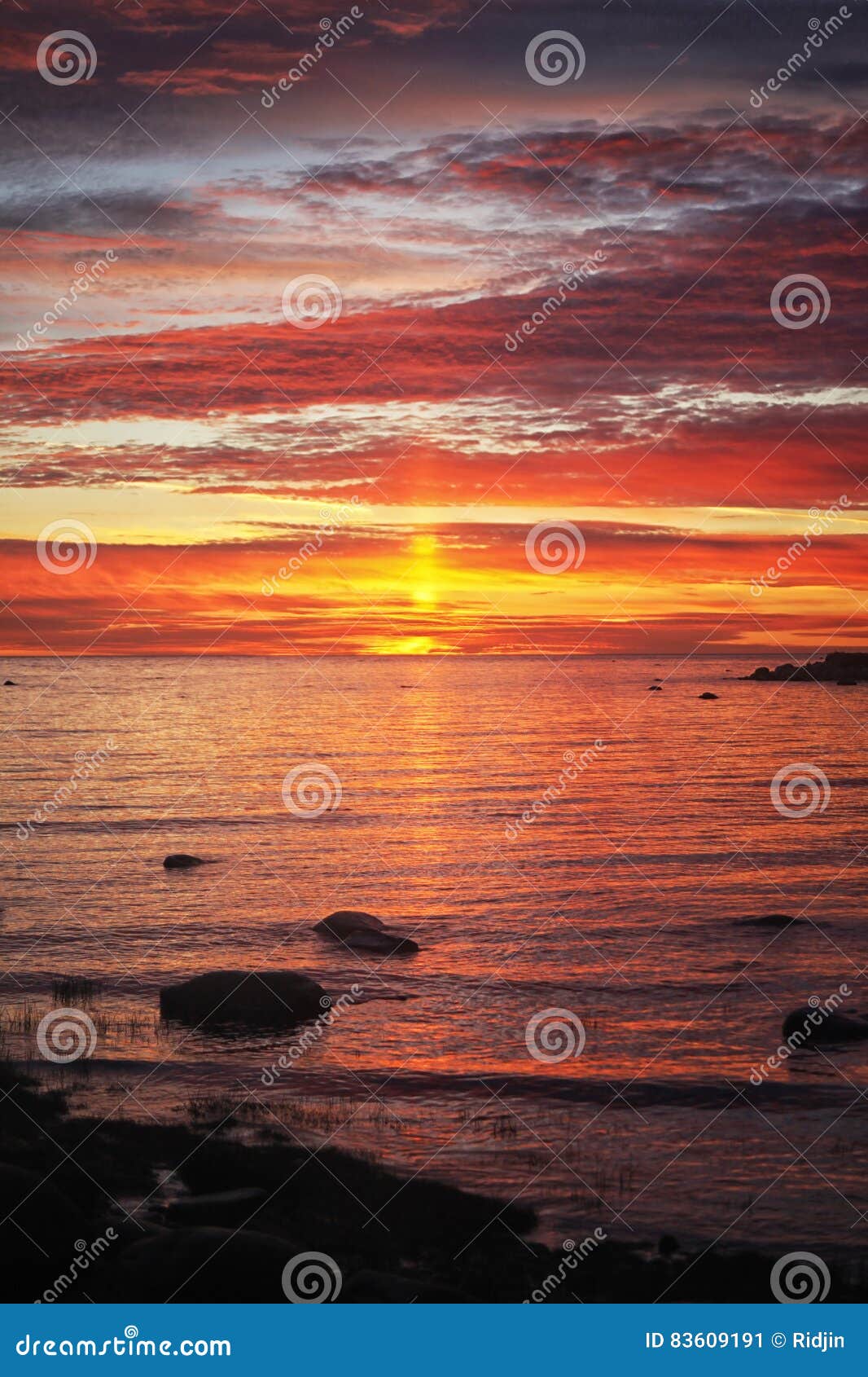 Bright Pink and Yellow Sunset Stock Image - Image of yellow, natural ...