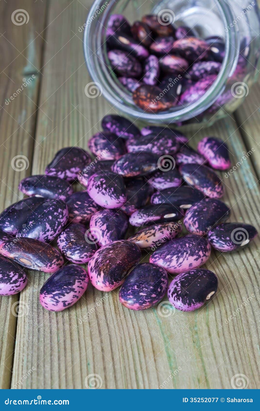 Bright purple beans stock image. Image of ingredient - 35252077