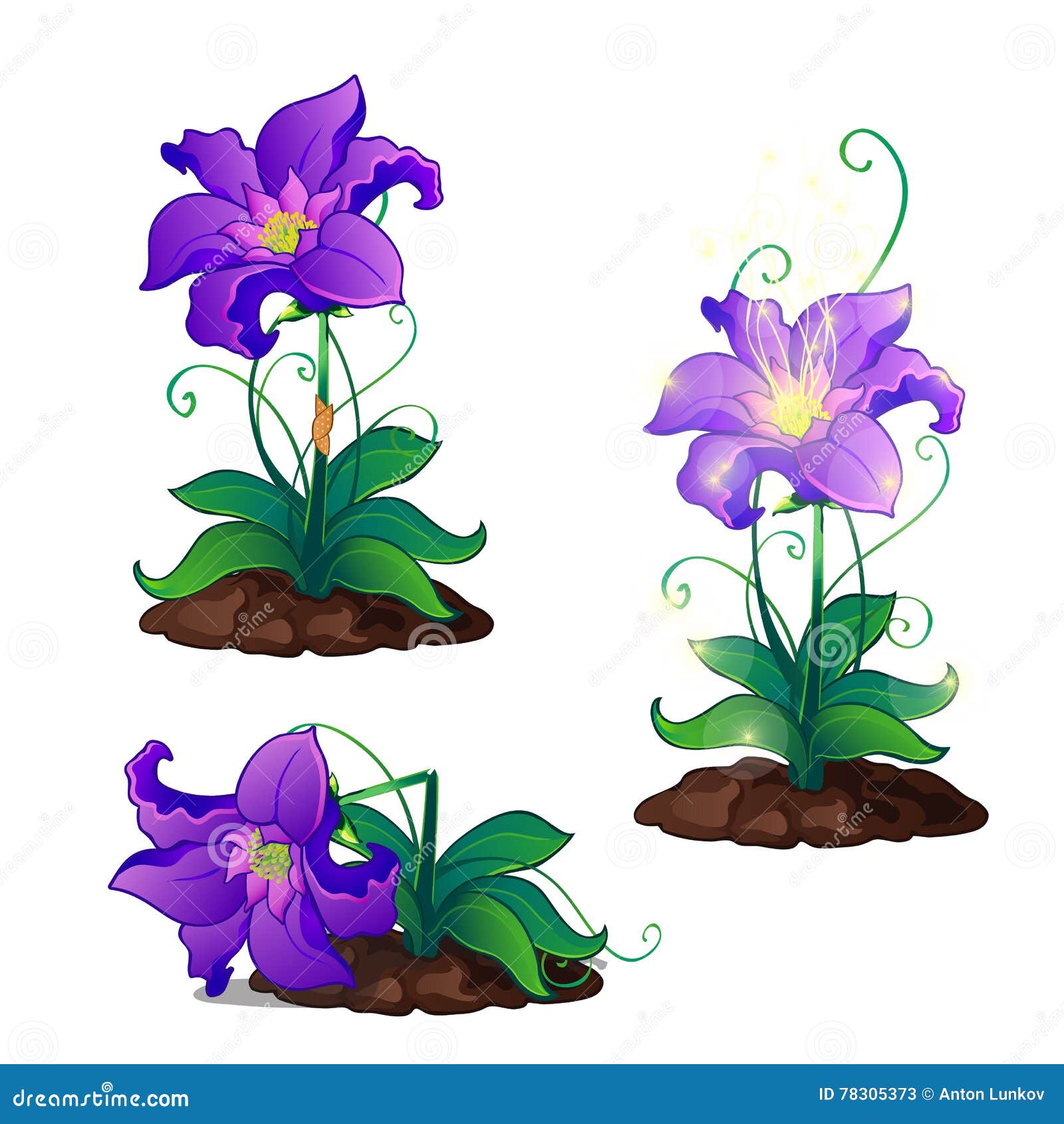Bright Purple Magic Flowers Grows in Ground Stock Vector - Illustration ...