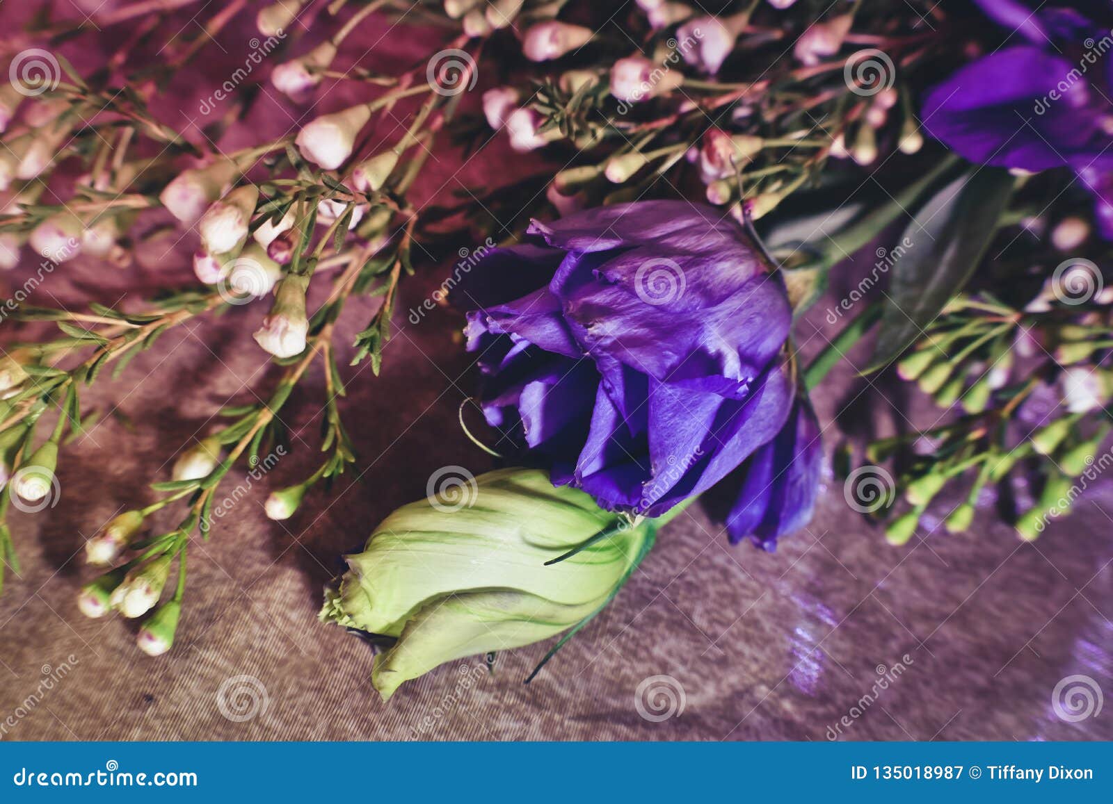 Bright purple rose bouquet stock image. Image of beauty - 135018987