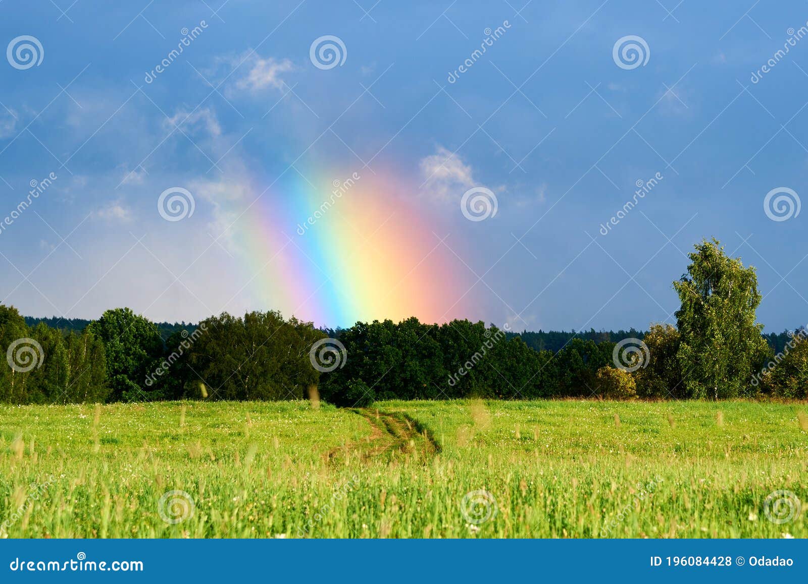 Bright Rainbow Column Over a Green Field and Forest. Rainbow after the ...