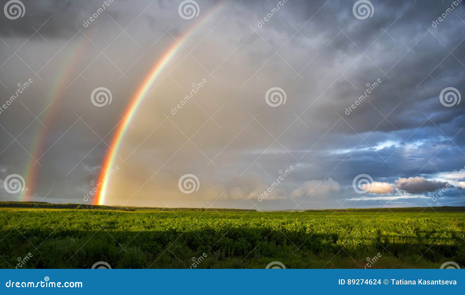Bright Rainbow after the Rain Over the Field Stock Photo - Image of ...