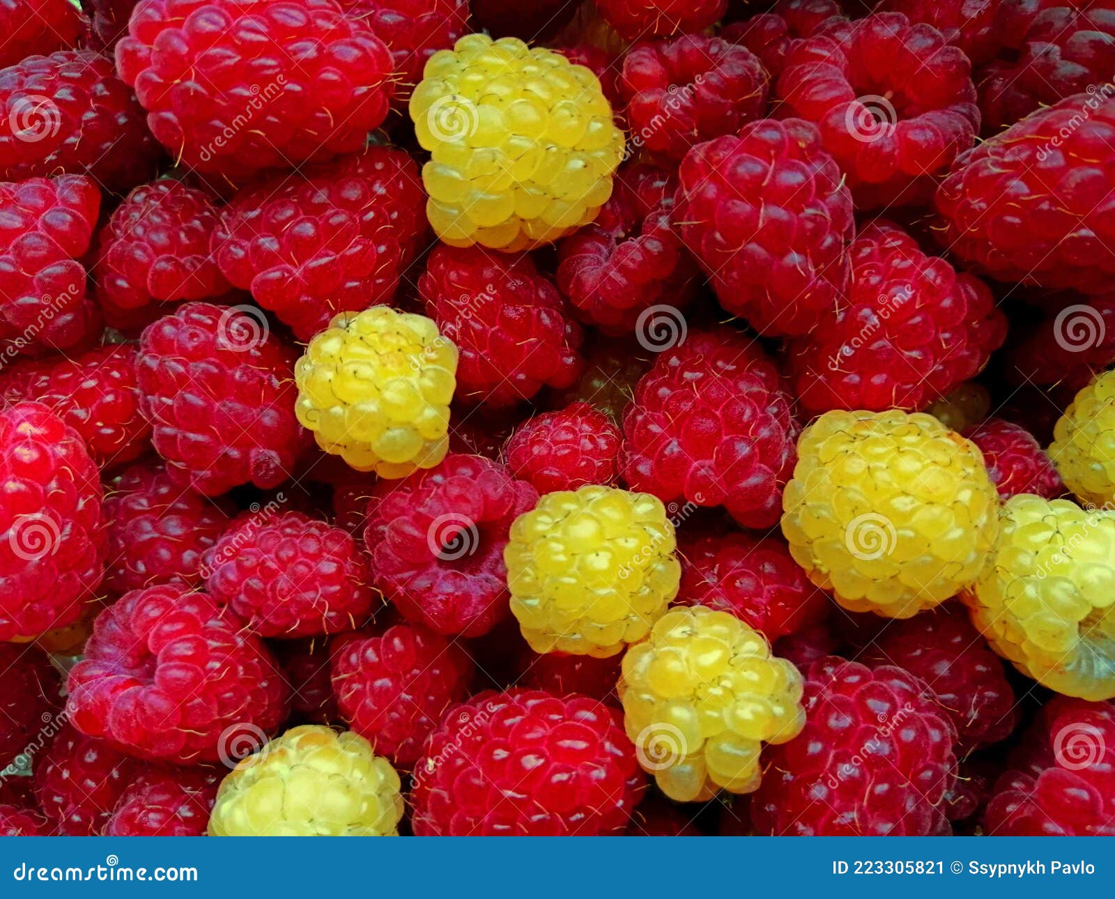 Bright Raspberry for the Background Stock Image - Image of texture ...