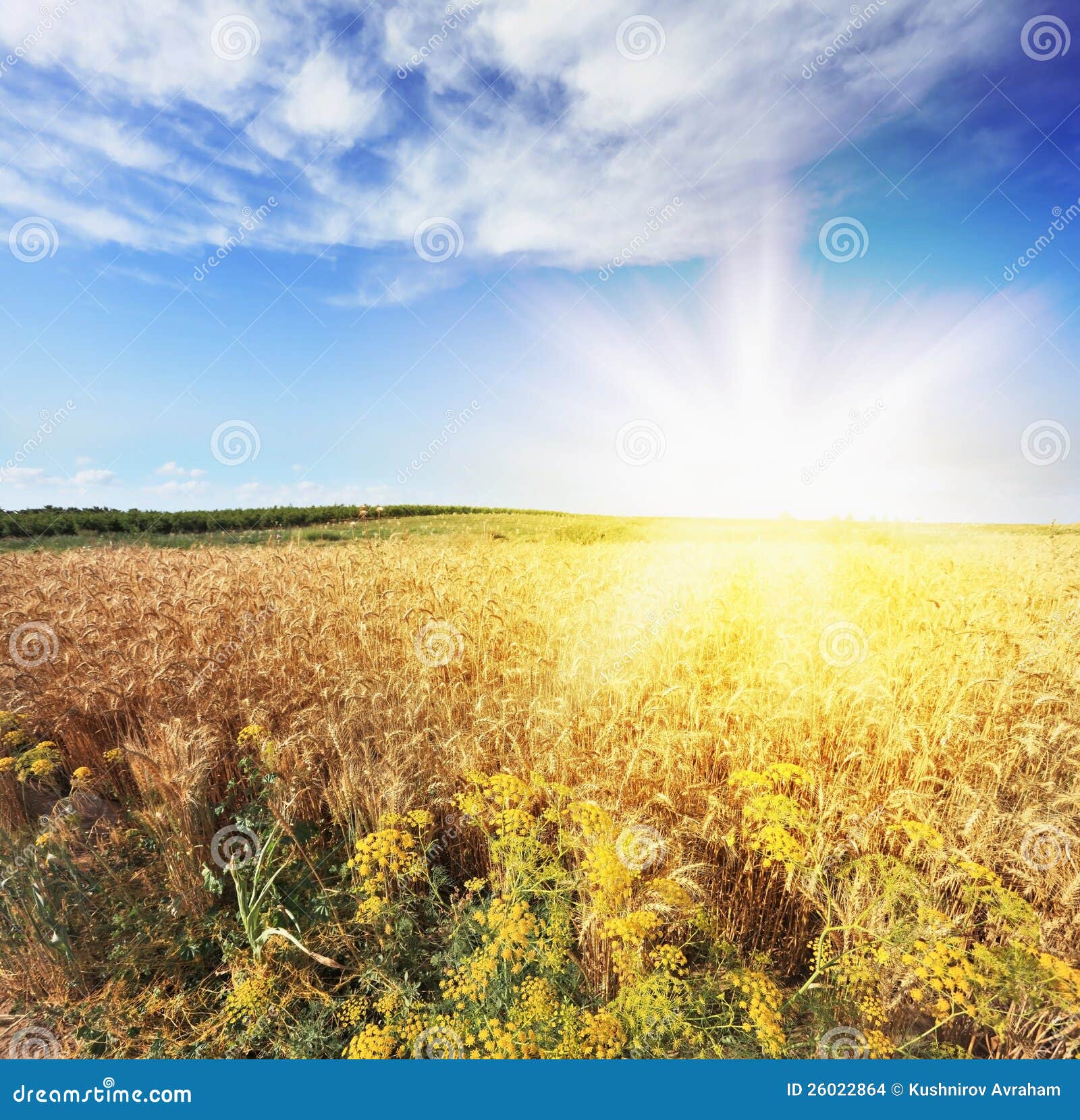 Bright rays of sunlight stock photo. Image of color, horizon - 26022864