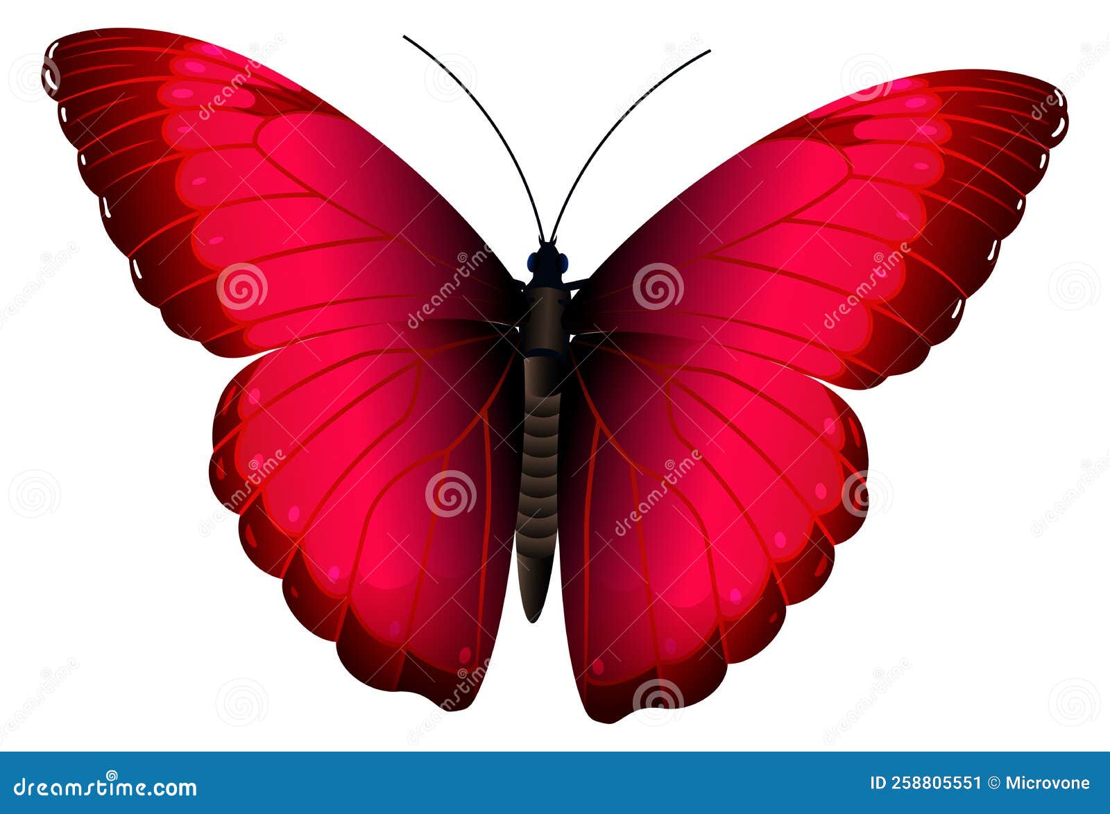 Bright Realistic Butterfly. Red Winged Moth Flying Stock Vector ...