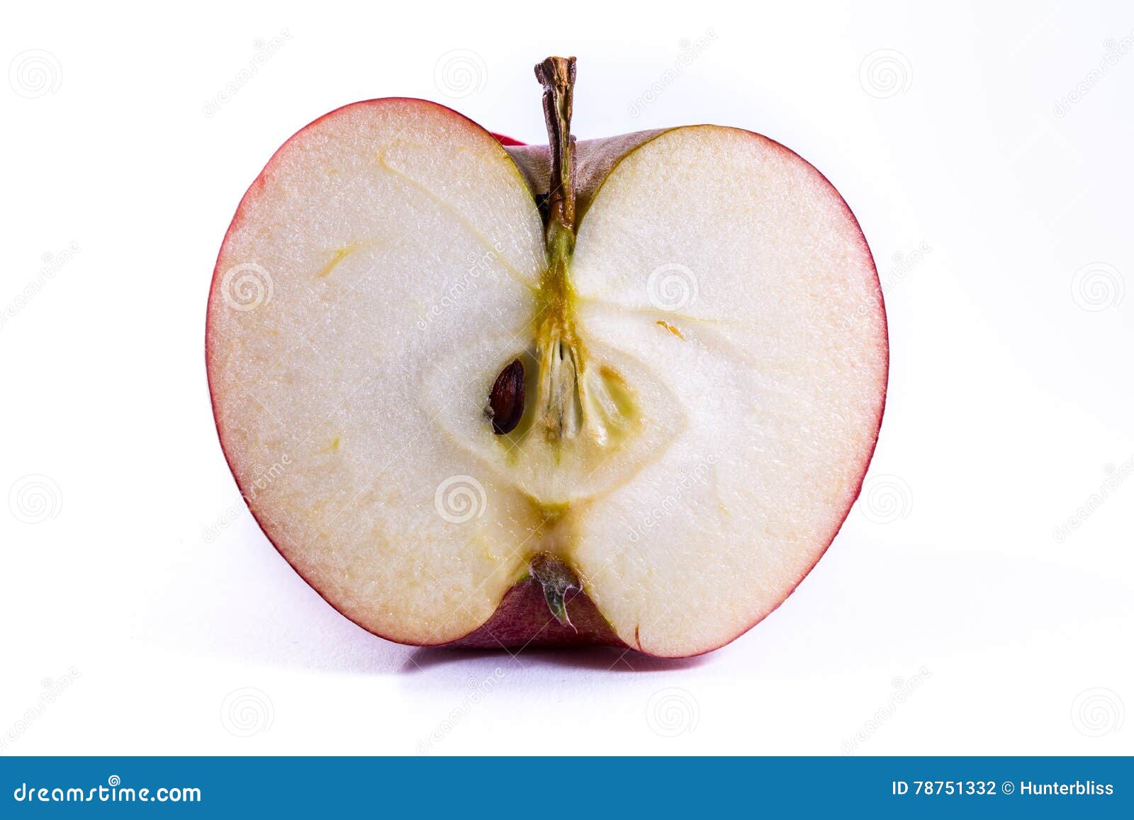 Bright Red Apple Cross Section Slice Cut Cross Section Inside Cl Stock ... Bright Red Apple Cross Section Slice Cut Cross Section Inside Cl Stock ...