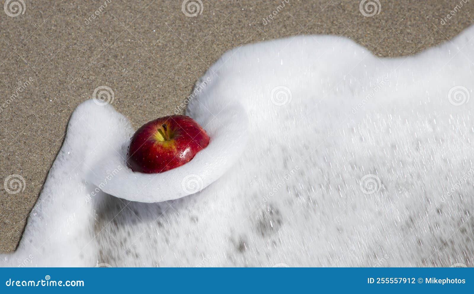 Red apple in surf on beach stock photo. Image of water - 255557912