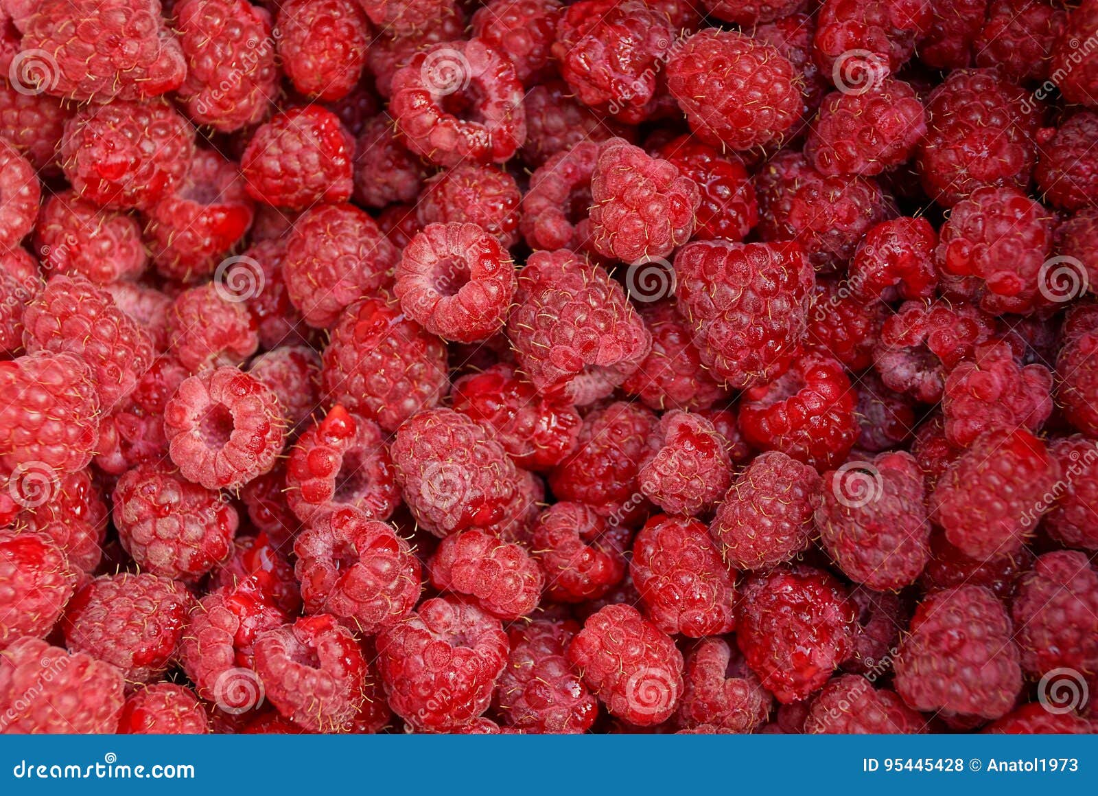 Bright Red Background of Ripe Red Raspberries Stock Photo - Image of ...