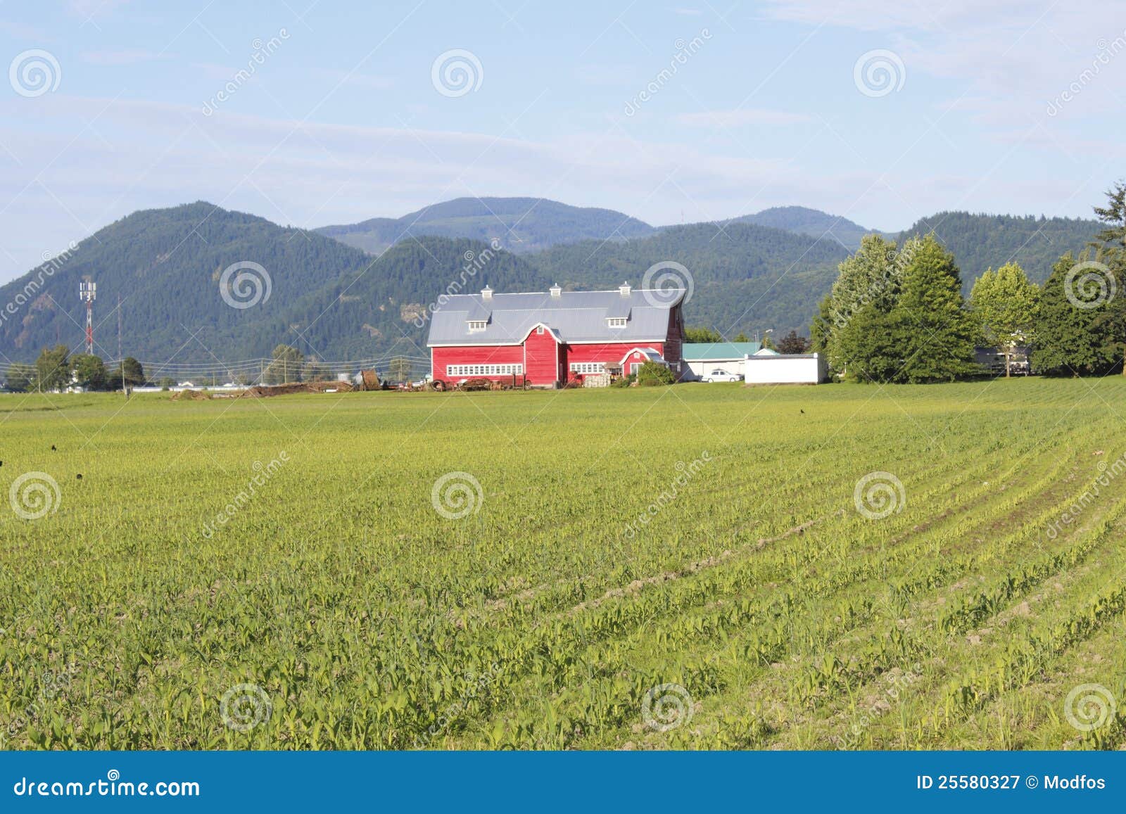 Bright Red Barn stock image. Image of evening, mission - 25580327