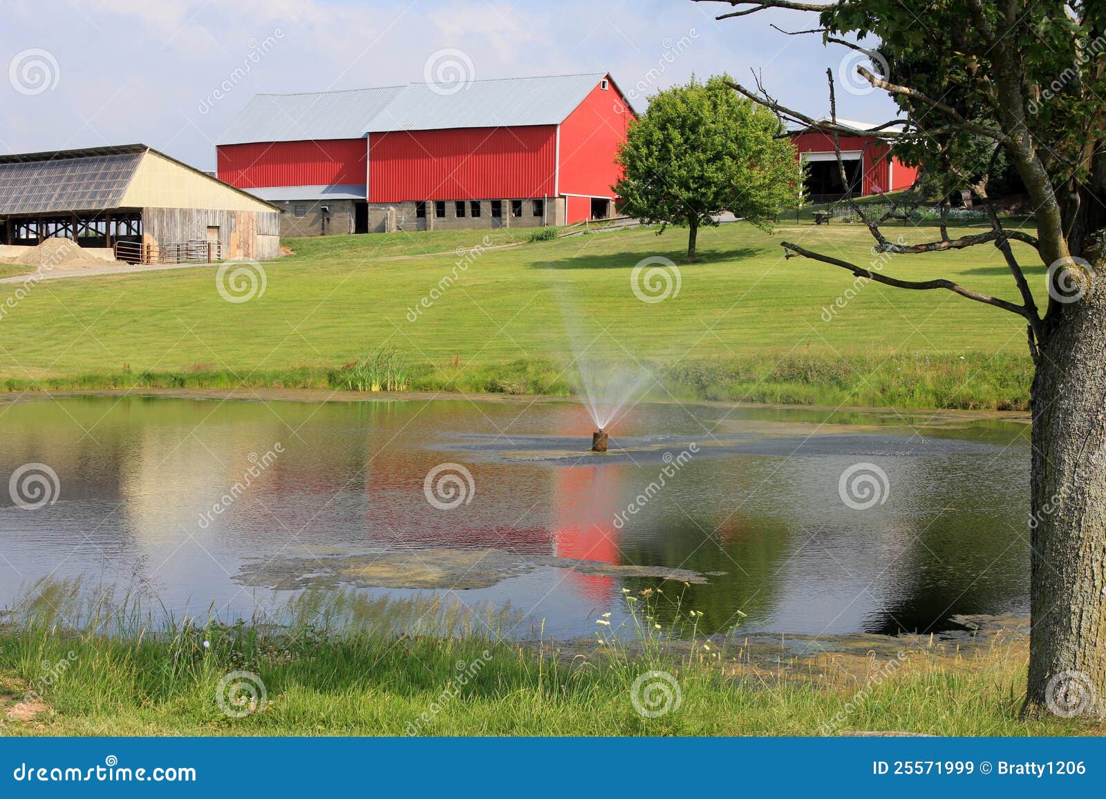 Bright red barns stock image. Image of homestead, sunny - 25571999