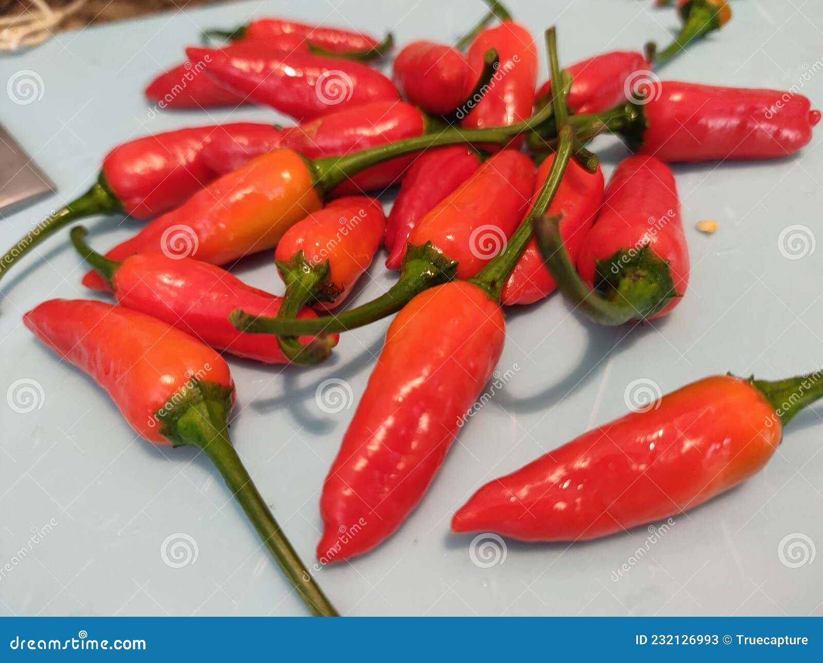 Chillies Bright Texture. Drying Mirchi In Sunny. Byadagi Mirchi, Indian ...
