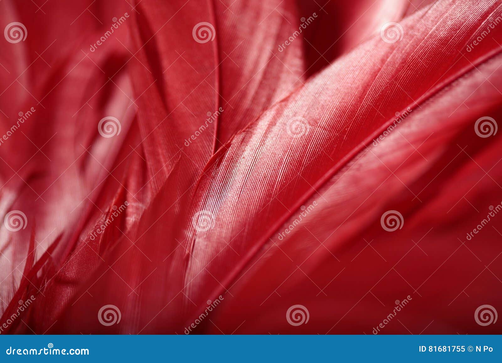 Bright Red Feather Texture Macro Stock Image - Image of festive ...