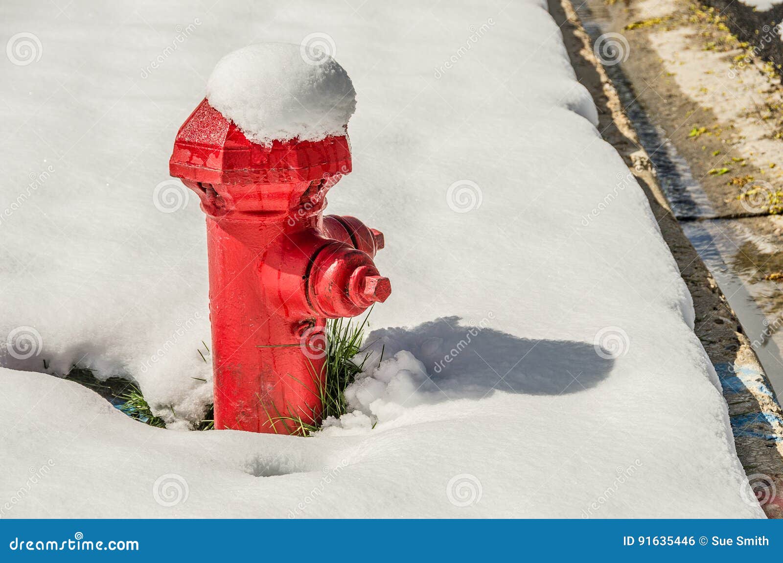Bright Red Fire Hydrant stock photo. Image of snow, safety - 91635446