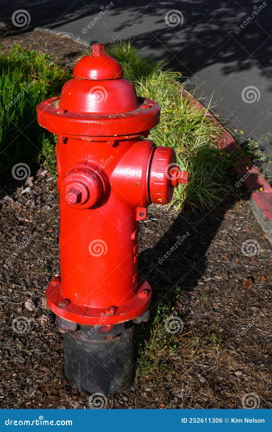 Bright Red Fire Hydrant on a Sunny Day Stock Photo - Image of fire ...