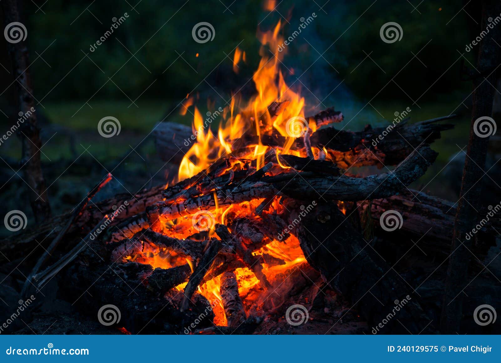 Bright Red Flame of a Campfire in the Forests of Altai Stock Image ...