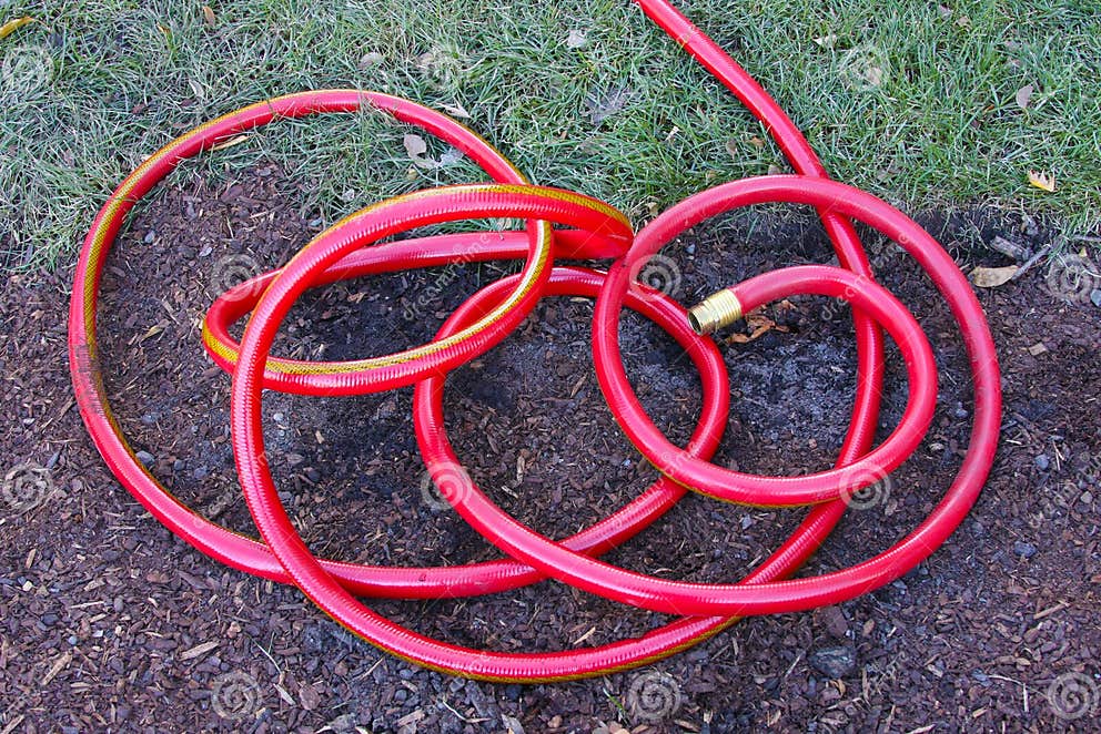 Bright Red Garden Hose stock image. Image of coil, path - 12083873